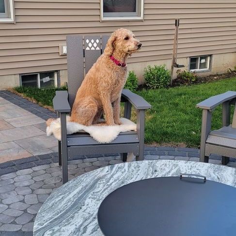 X Series Chair – Breeo